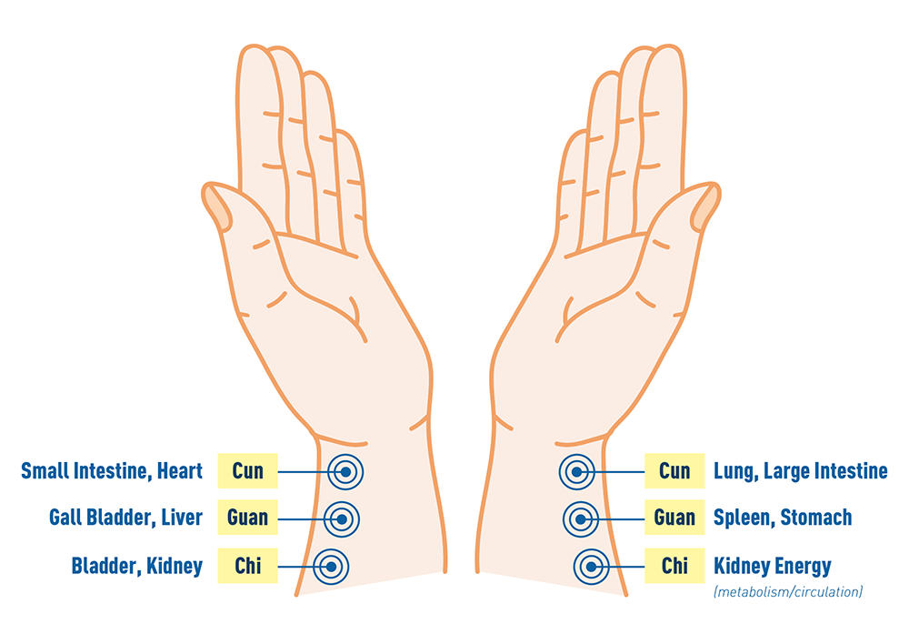 Pulse Diagnosis For Thyroid Disease Pulse Diagnosis For Thyroid Disease